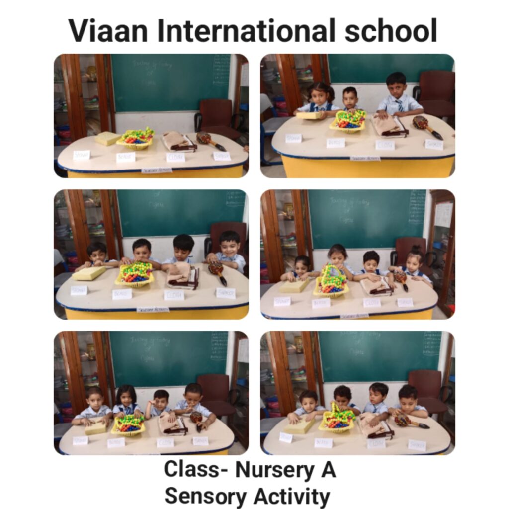 Gallery – VIAAN INTERNATIONAL SCHOOL